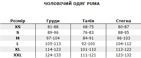 Шорты Puma Performance Woven 5 52031701 (52031701). Мужские спортивные ...